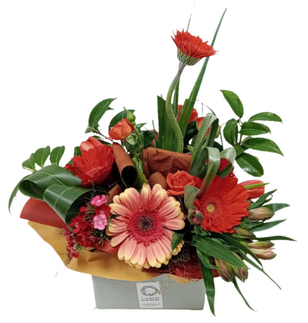 Small Posy Box – Flowers Everywhere NZ
